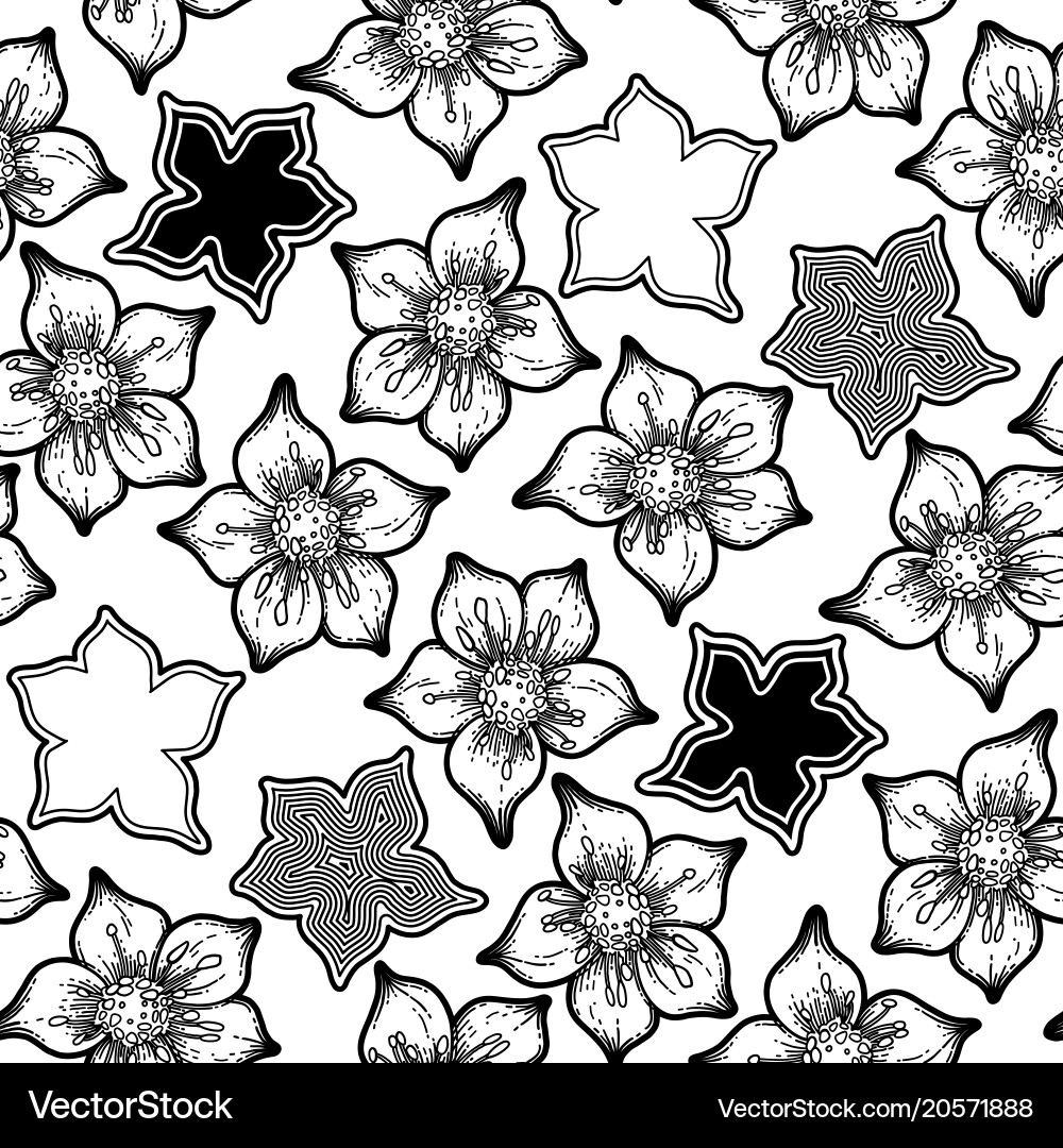 Spice Seed Pattern Royalty Free Vector Image - VectorStock