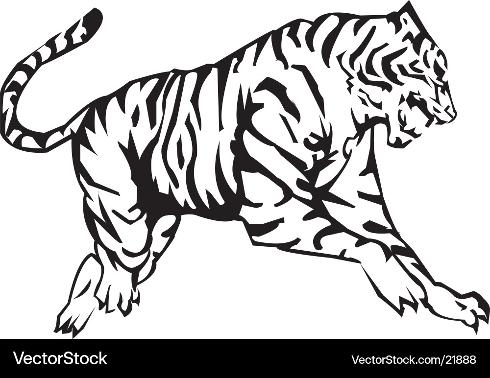 Tiger Royalty Free Vector Image - VectorStock