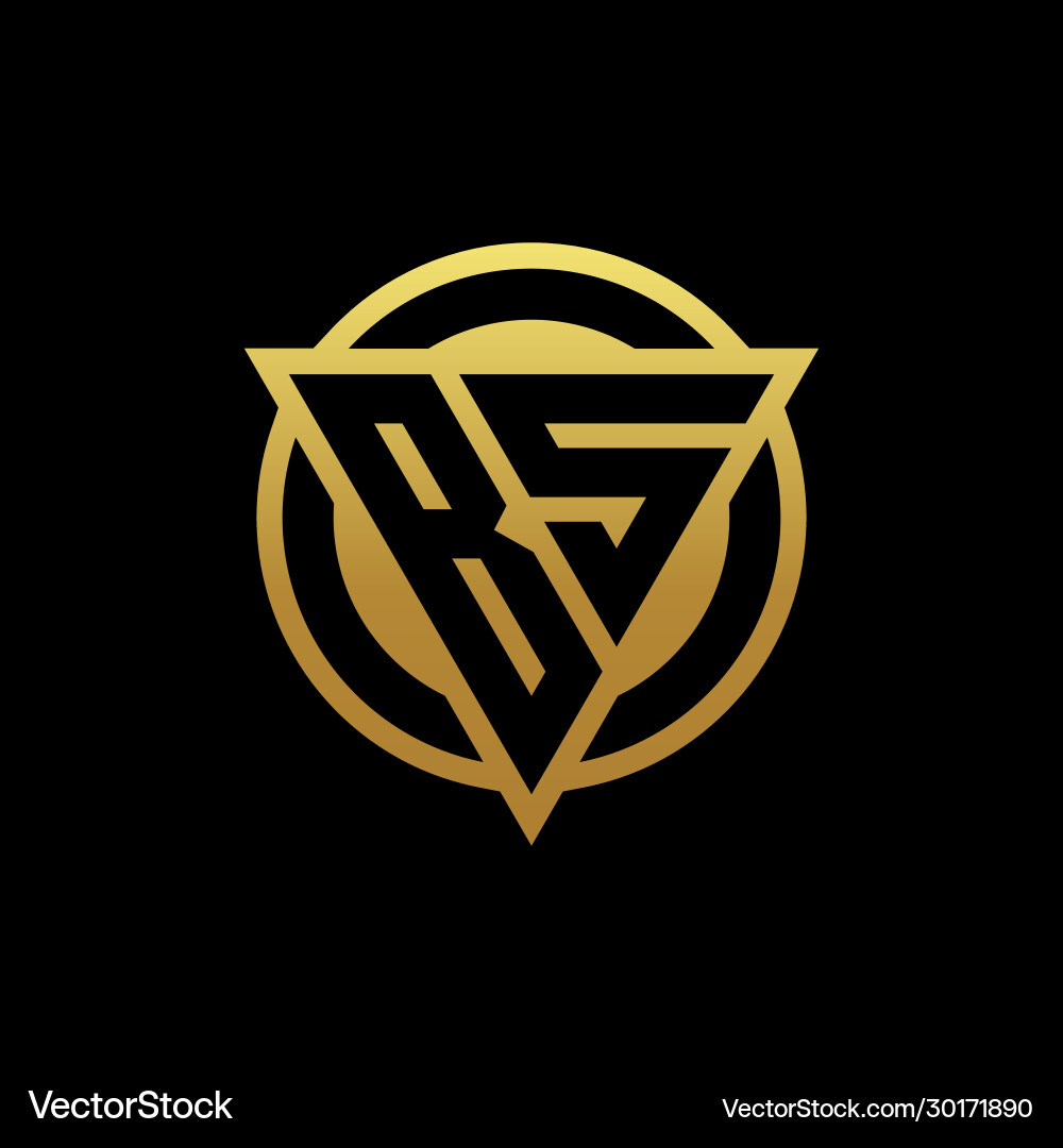 Bs logo monogram with triangle shape and circle Vector Image