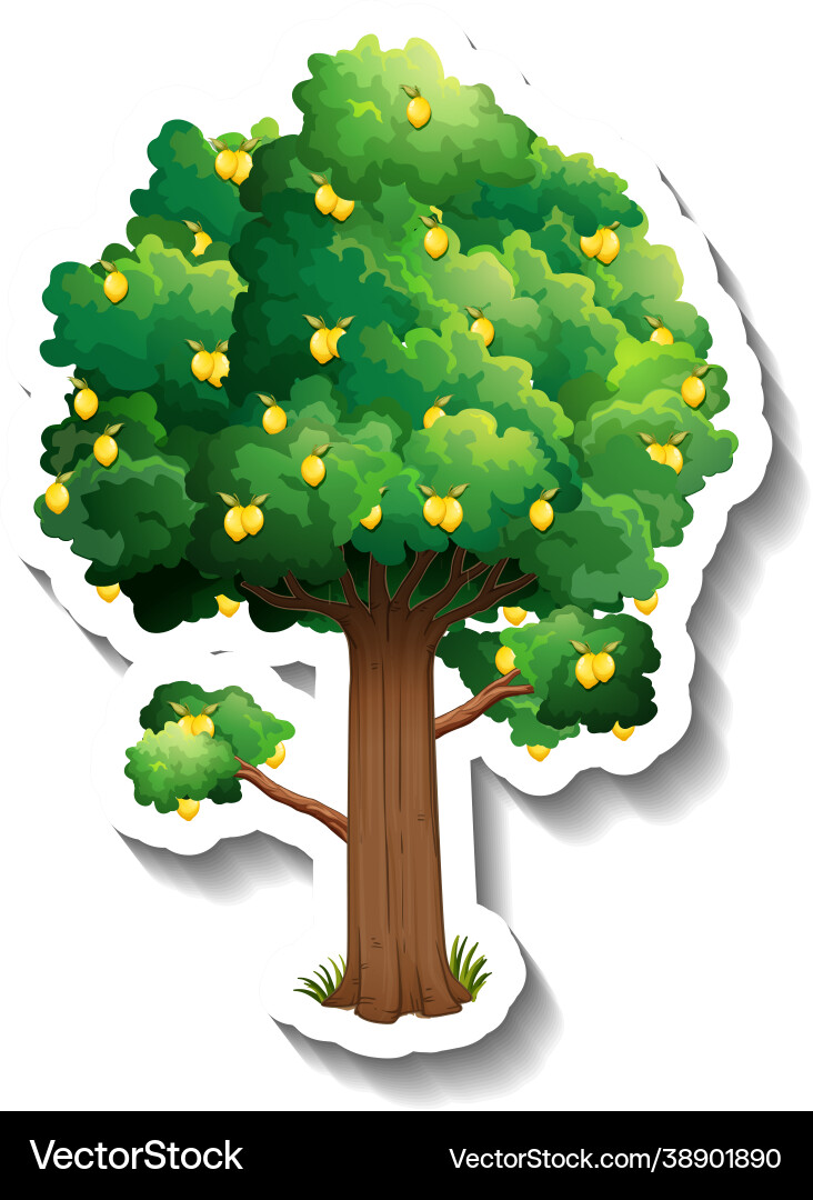 Lemon tree sticker on white background Royalty Free Vector