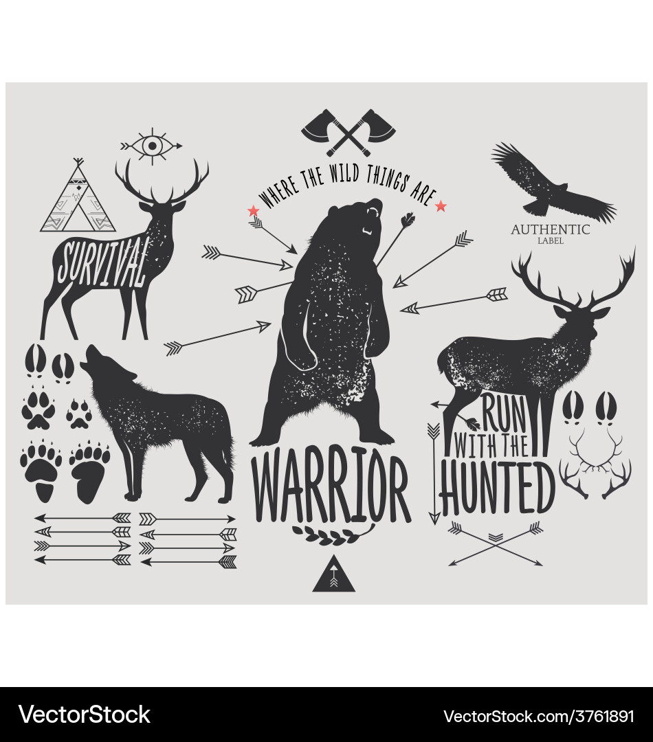 Wildlife Portrait - Deer Royalty Free Vector Image