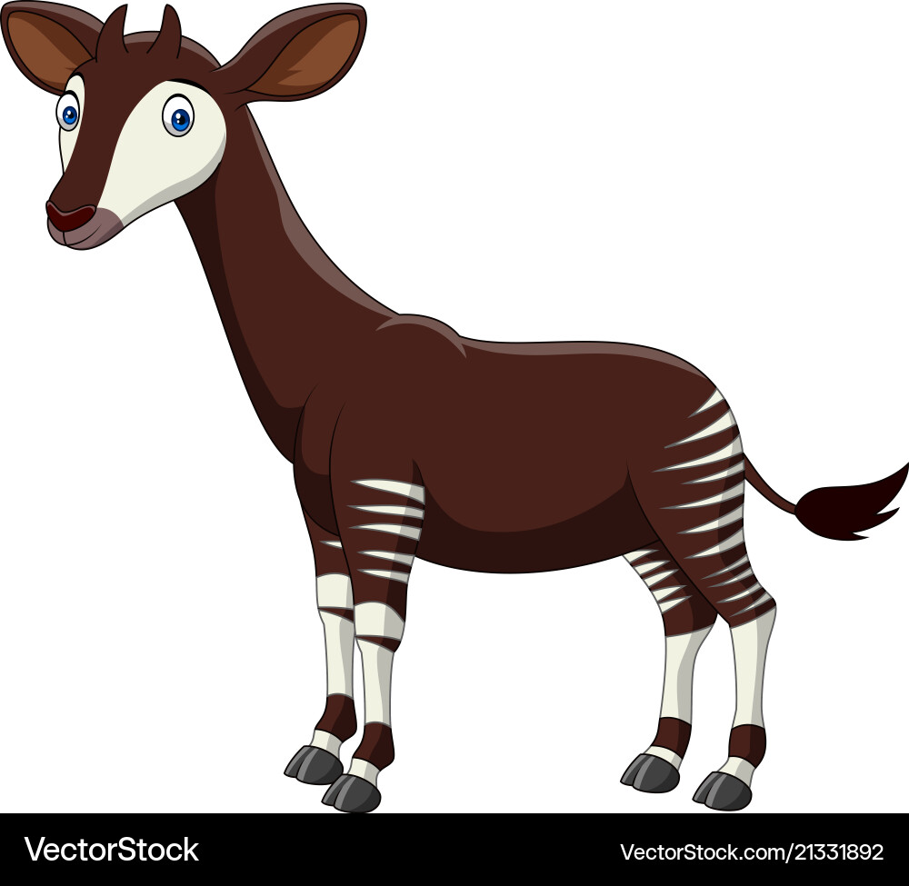 Cartoon okapi isolated on white background Vector Image