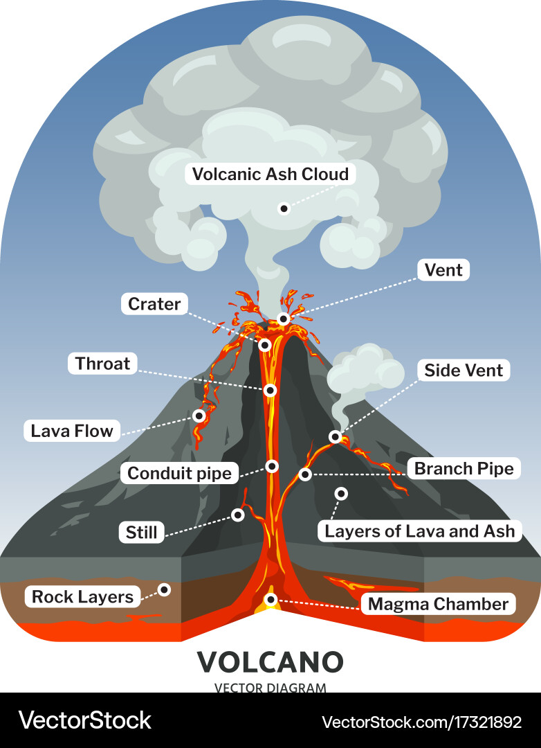 Volcanic Cross-Section: Lava Flow & Ash Vector Image