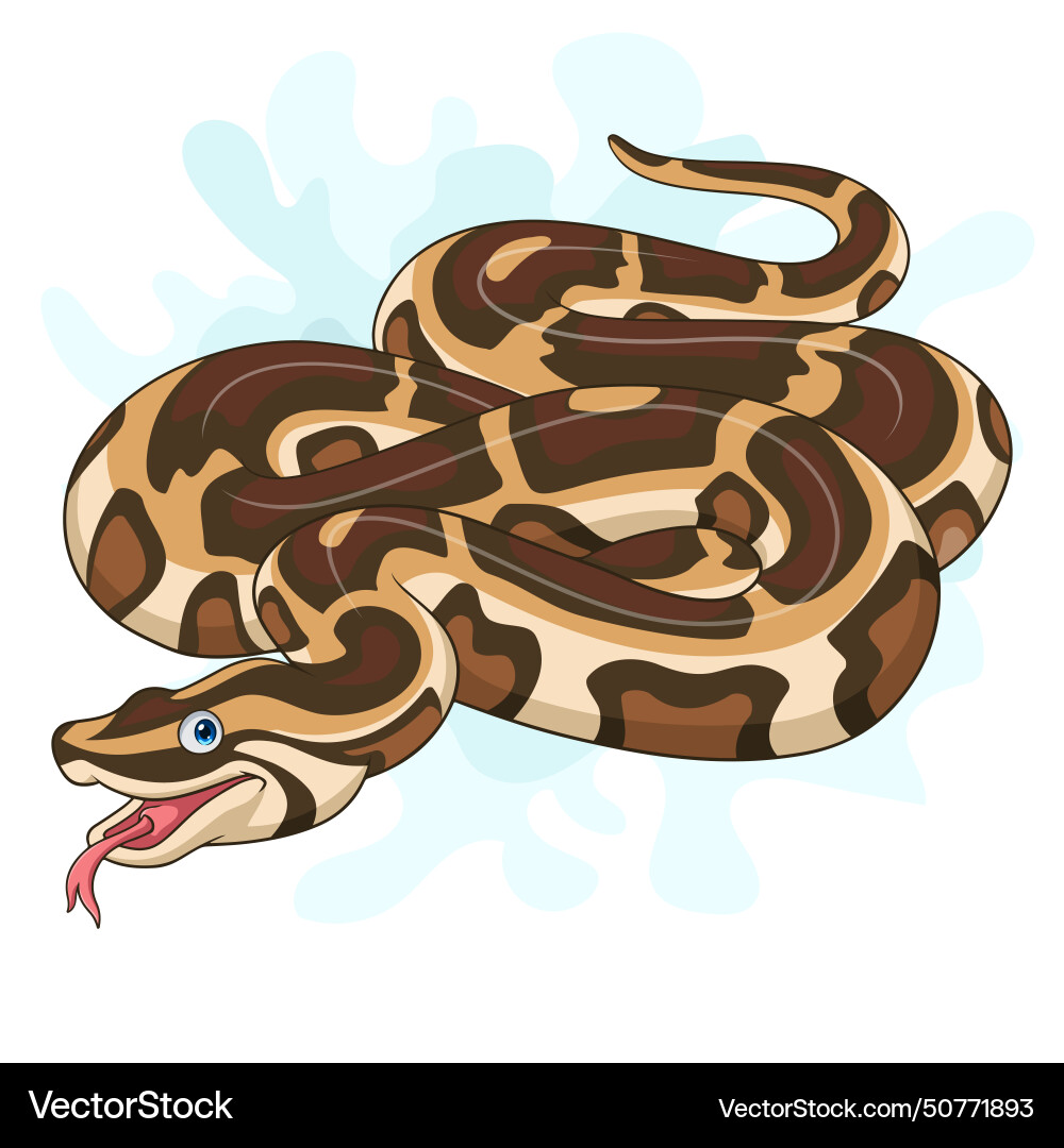 Cartoon burmese python on white background Vector Image