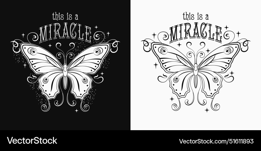 Mysterious label with fantasy butterfly text Vector Image