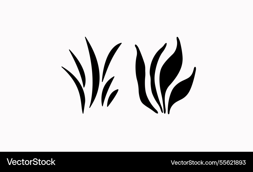 Print aquatic plants Royalty Free Vector Image