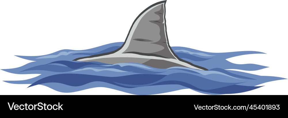 Shark fin swimming cartoon art Royalty Free Vector Image