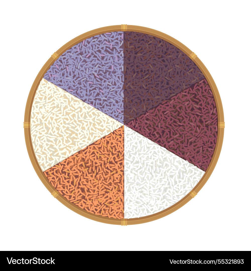 Types rice Royalty Free Vector Image - VectorStock