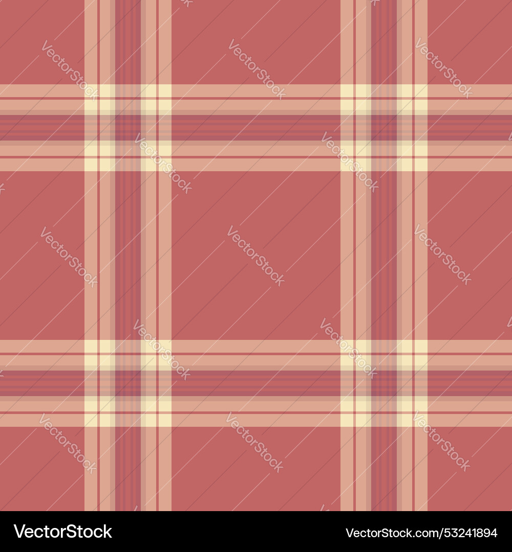 Present textile seamless tartan expensive fabric Vector Image