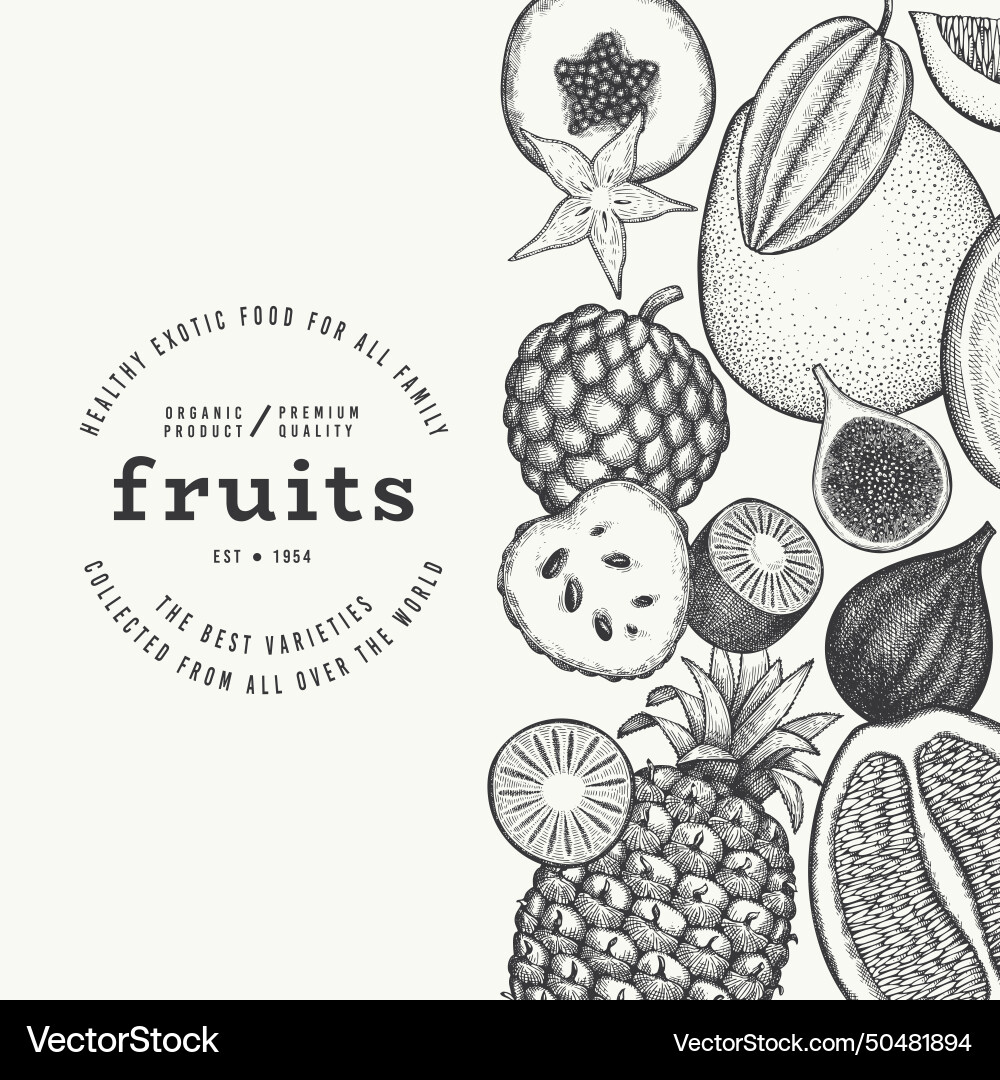 Tropical fruit design template hand drawn exotic Vector Image