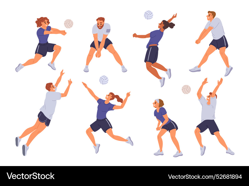 Volleyball Players in Action Royalty Free Vector Image