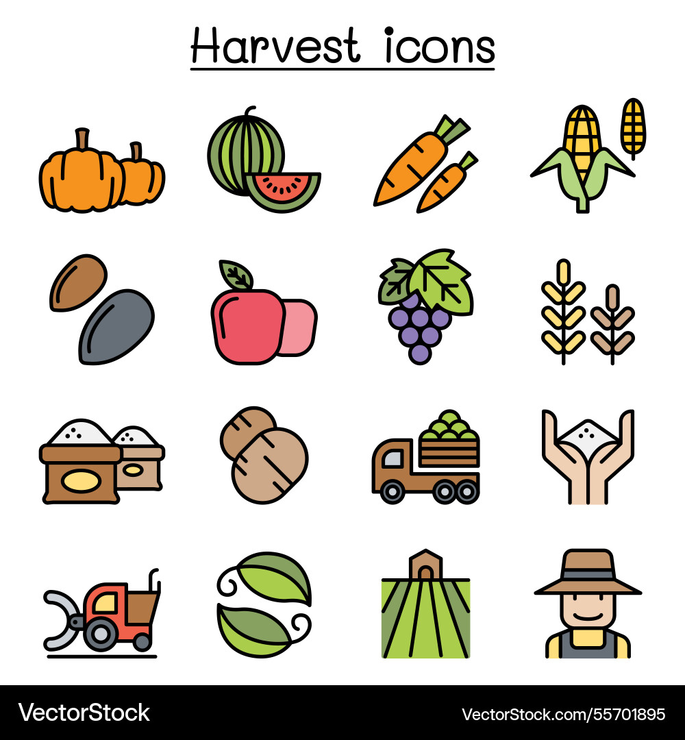 Harvest icon set in colorline style Royalty Free Vector