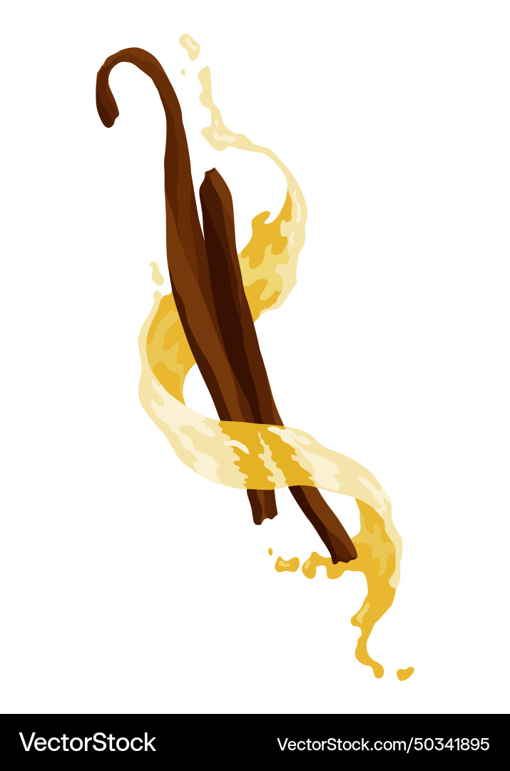 Vanilla pods or stick realistic design Royalty Free Vector