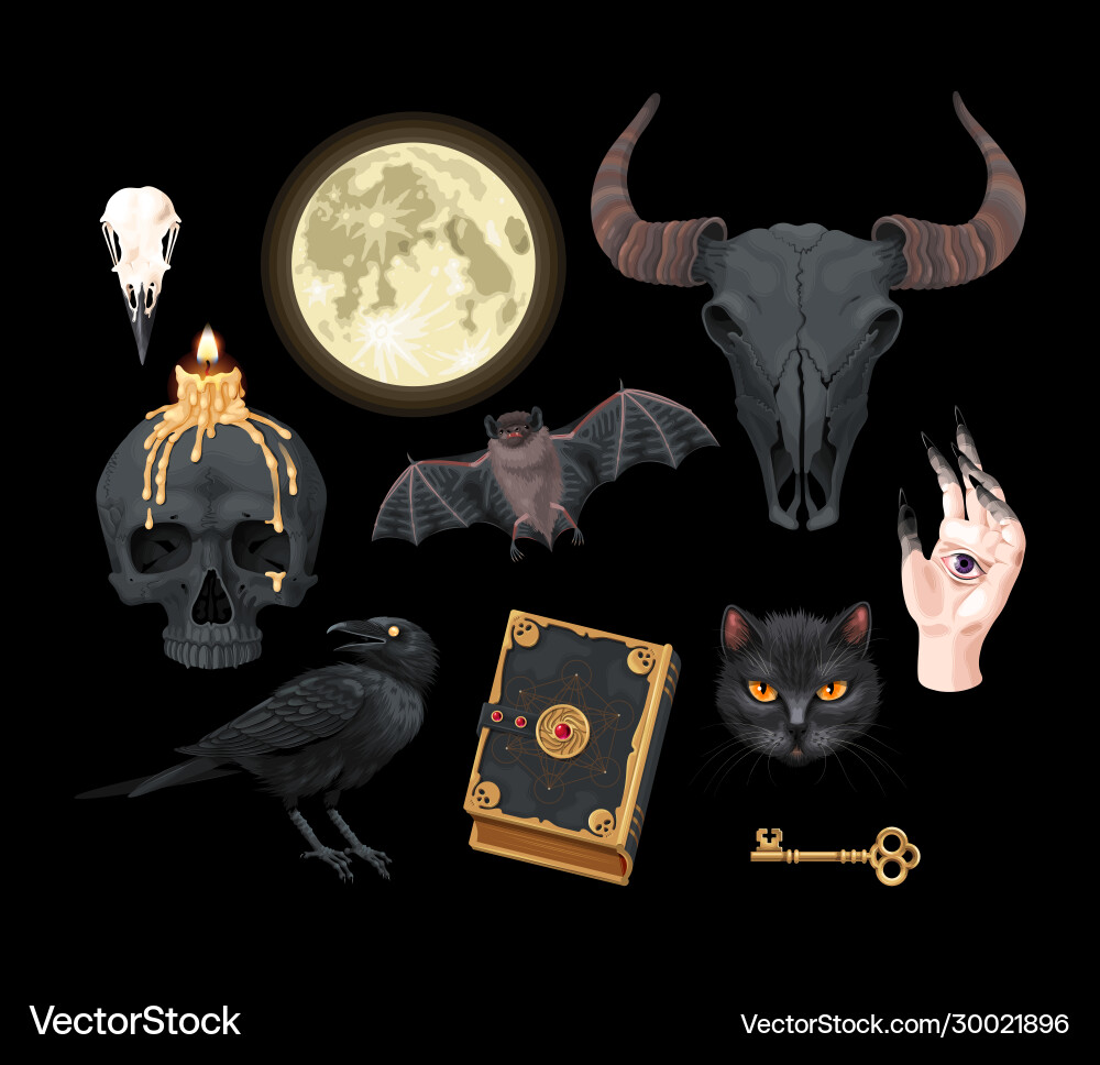 High detailed black magic supplies set Royalty Free Vector