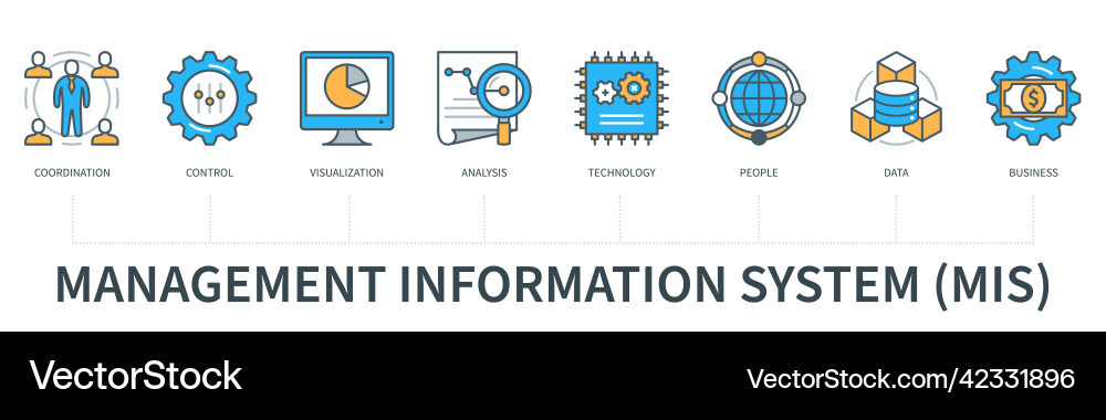 Management information system infographics Vector Image