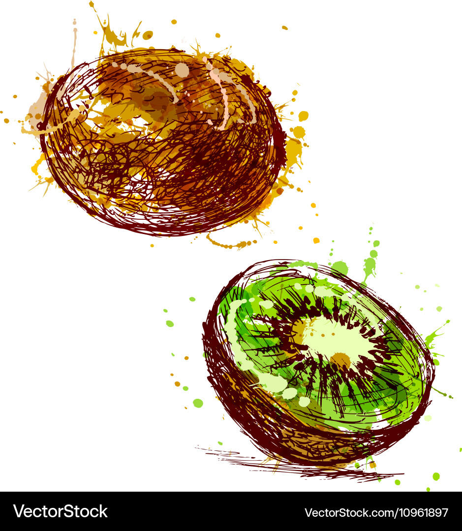 Colored hand sketch kiwi Royalty Free Vector Image