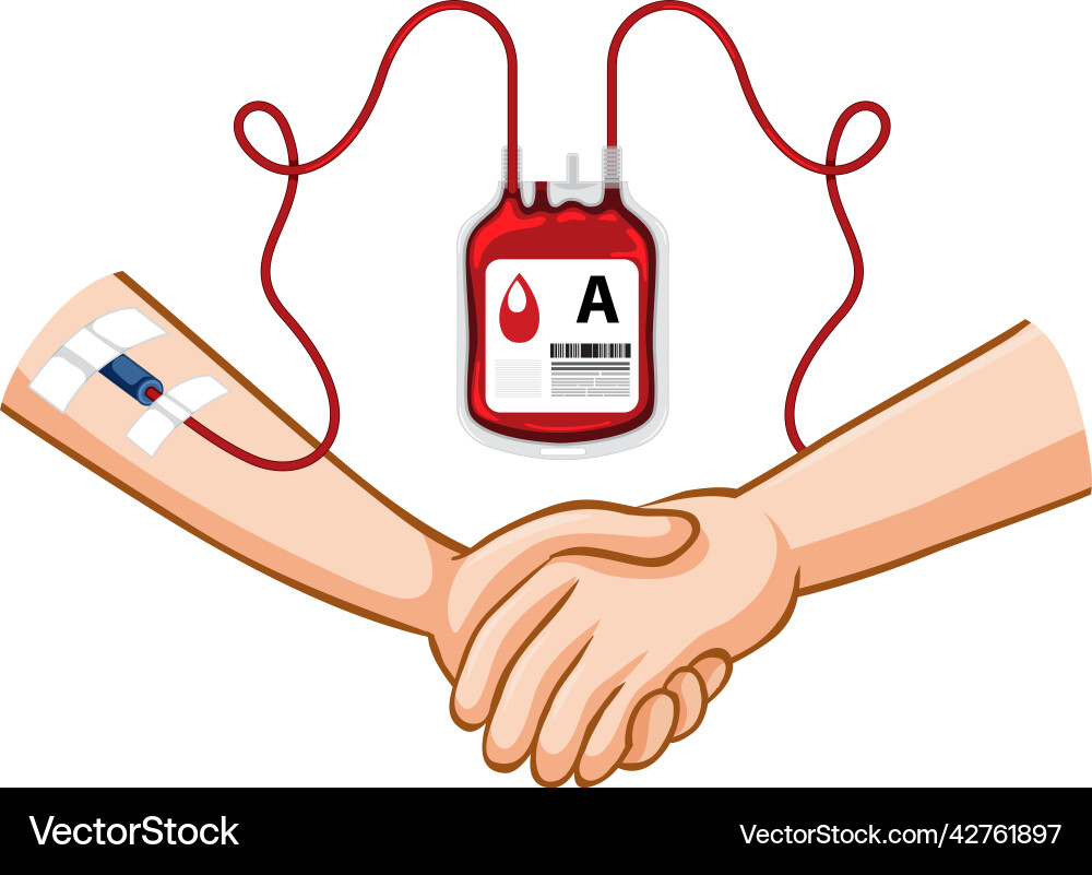 Human blood donate on white background Royalty Free Vector