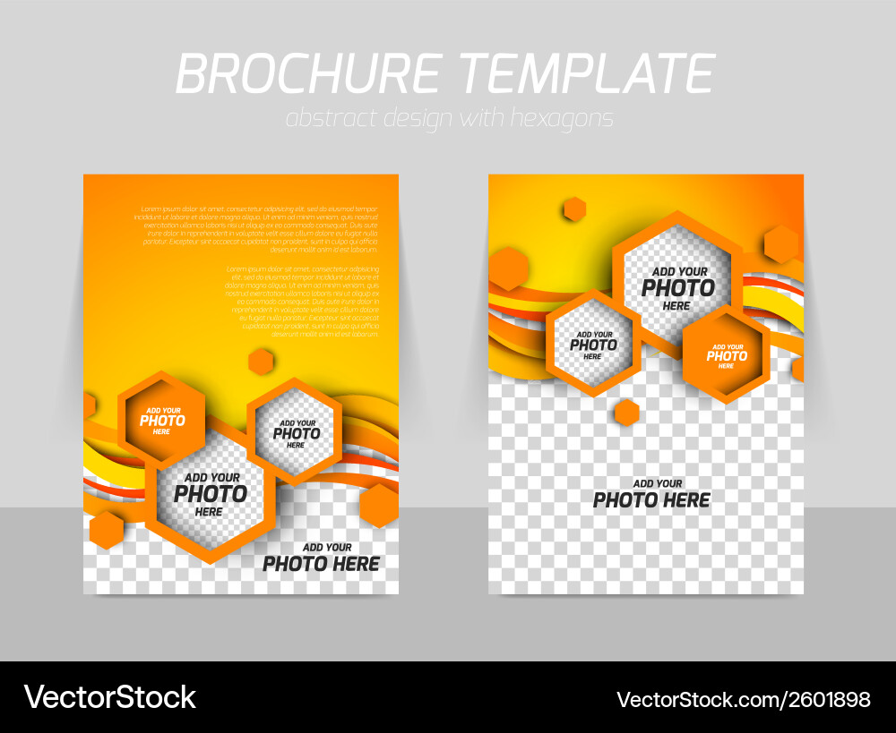 Brochure background Royalty Free Vector Image - VectorStock