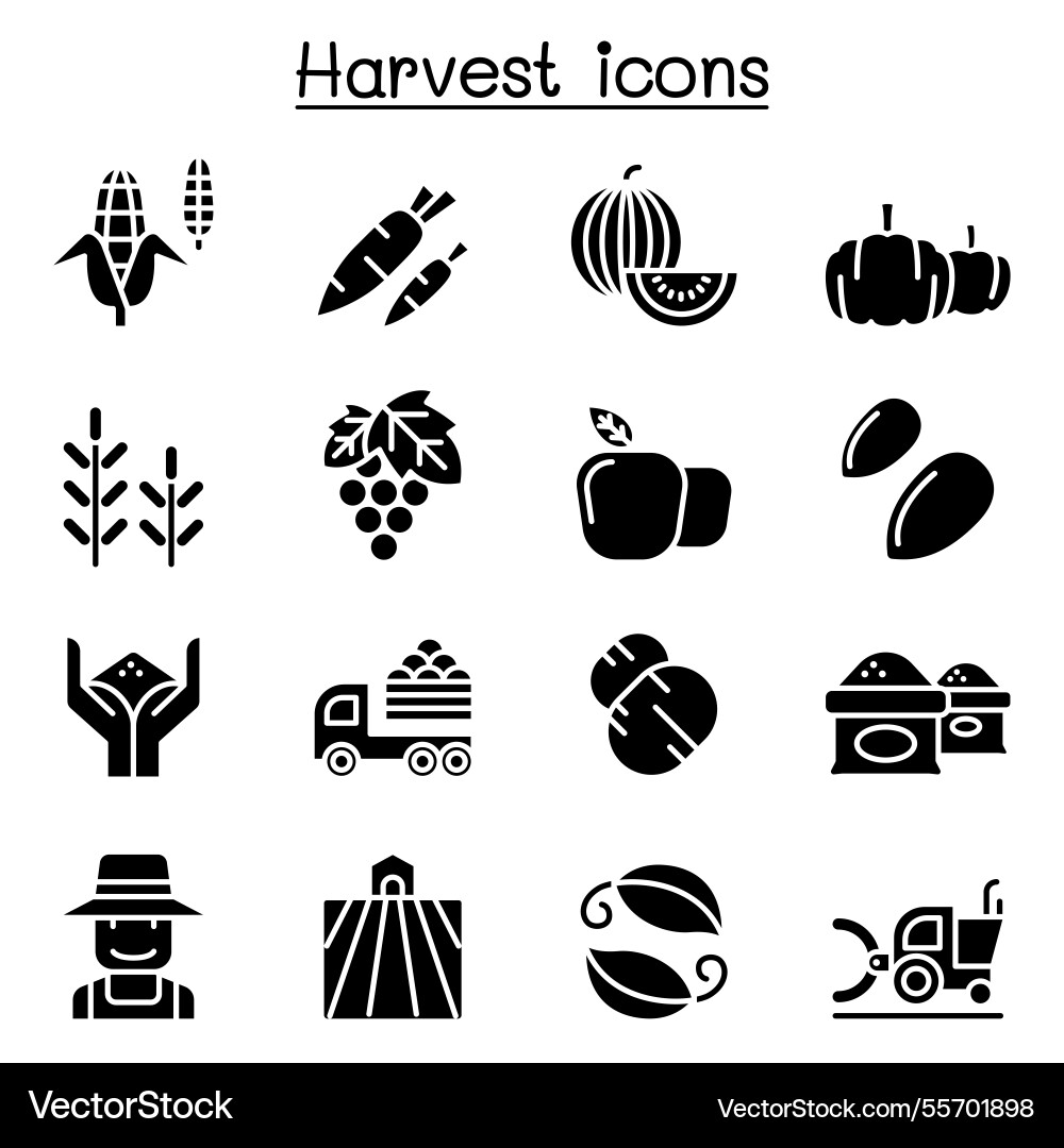 Harvest icon set in glyph style Royalty Free Vector Image