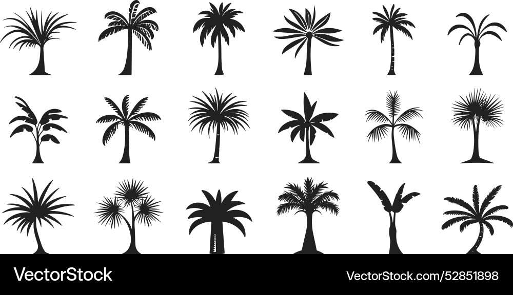 Palm tree icons set silhouettes nature Royalty Free Vector Palm tree icons set silhouettes nature Royalty Free Vector