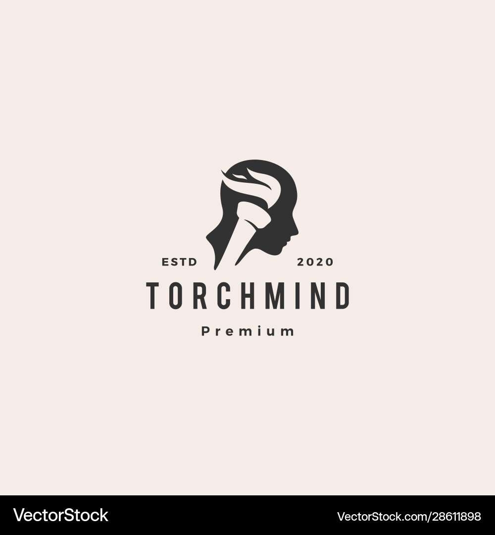 Torch mind human head fire flame think creative Vector Image