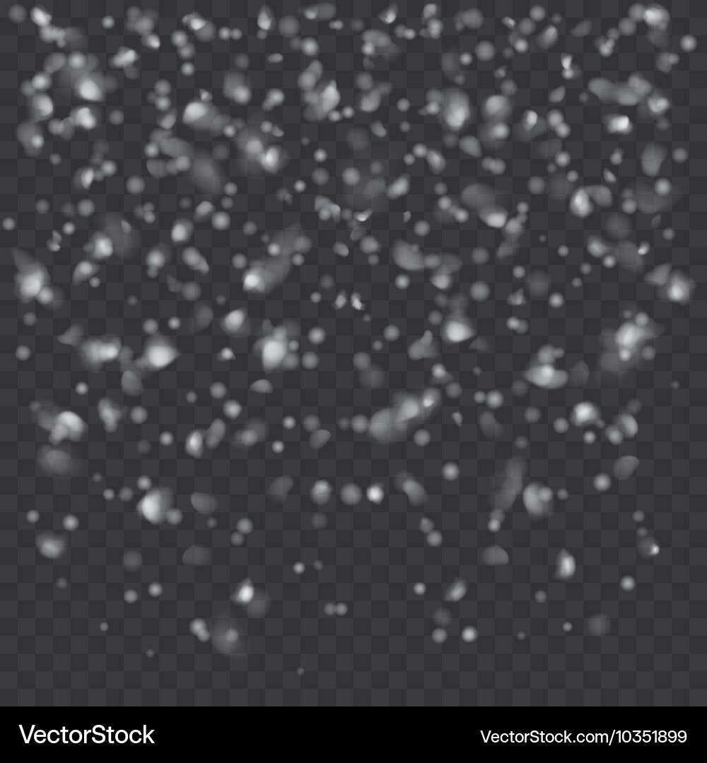 Falling translucent flakes of snow Royalty Free Vector Image