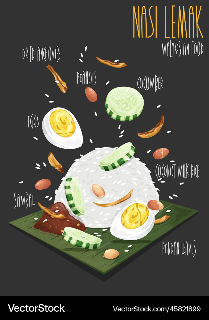 Nasi lemak Royalty Free Vector Image - VectorStock