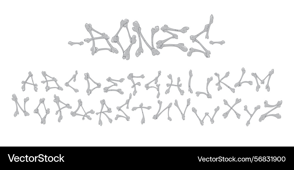 Bones alphabet set on the white background Vector Image