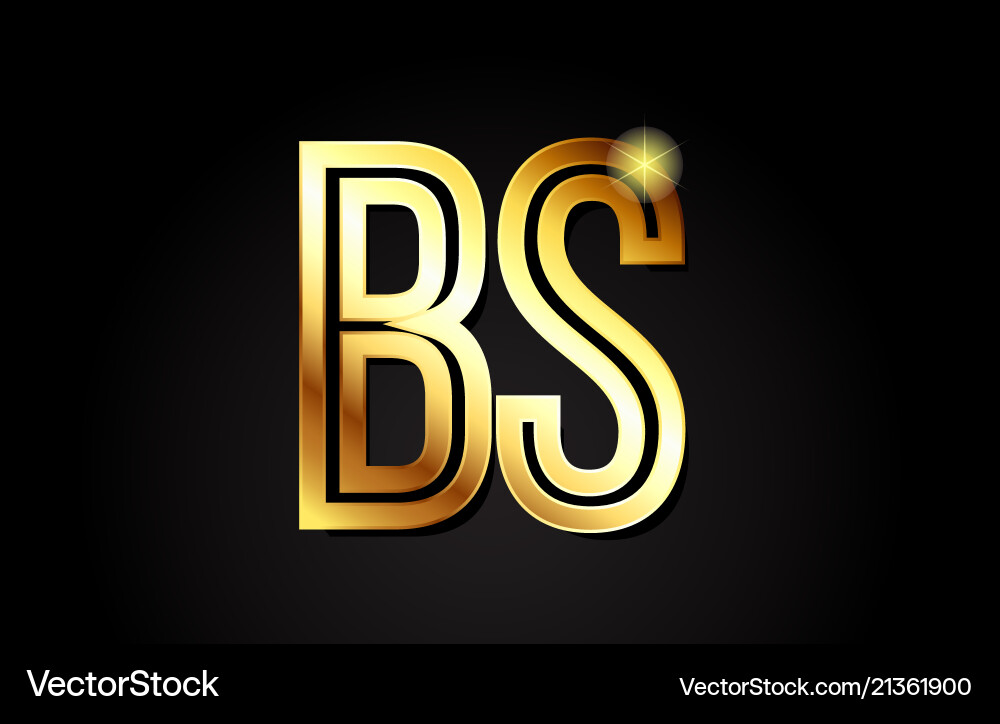 Gold alphabet letter bs b s logo combination icon Vector Image