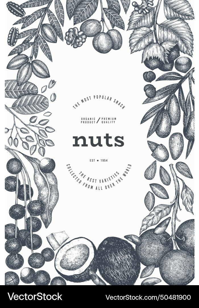 Hand drawn nuts branch and kernels template Vector Image