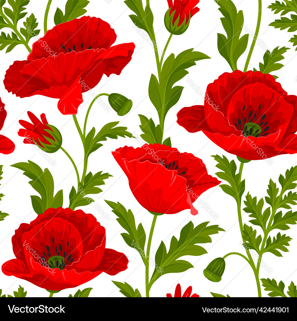 Poppy seamless pattern Royalty Free Vector Image