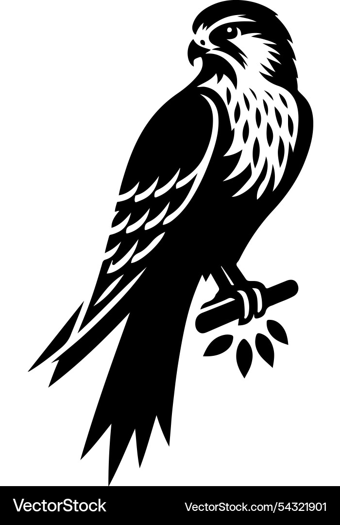 Stunning falcon silhouette ar Royalty Free Vector Image