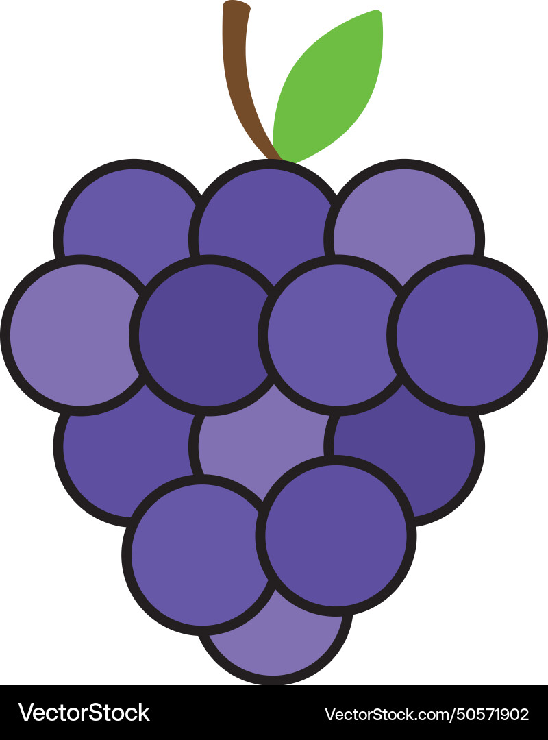 Colored grapes fruit icon Royalty Free Vector Image