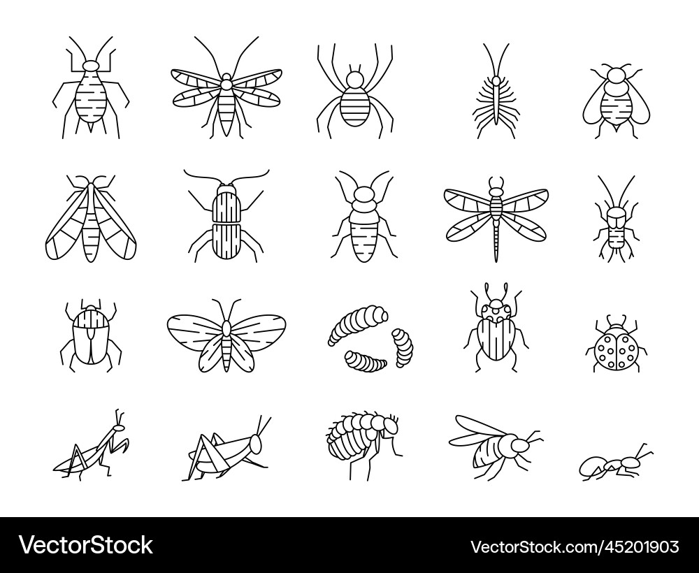 Line insects bug icons beetle and caterpillar Vector Image