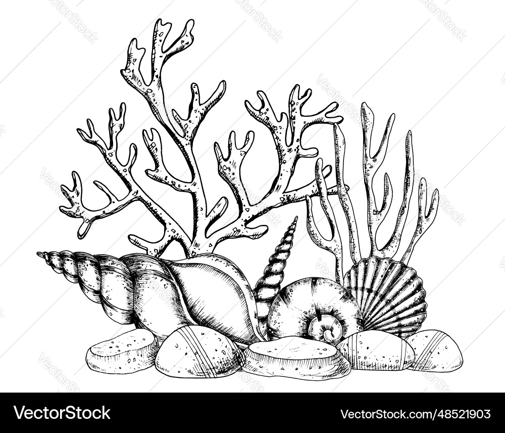 Underwater Seashell Engraving Royalty Free Vector Image