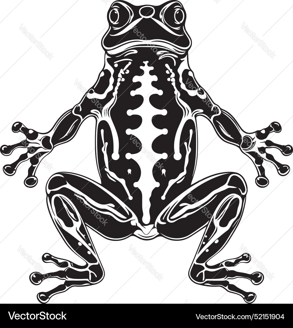Bone ribbit skeletal frog logo emblem mystic Vector Image