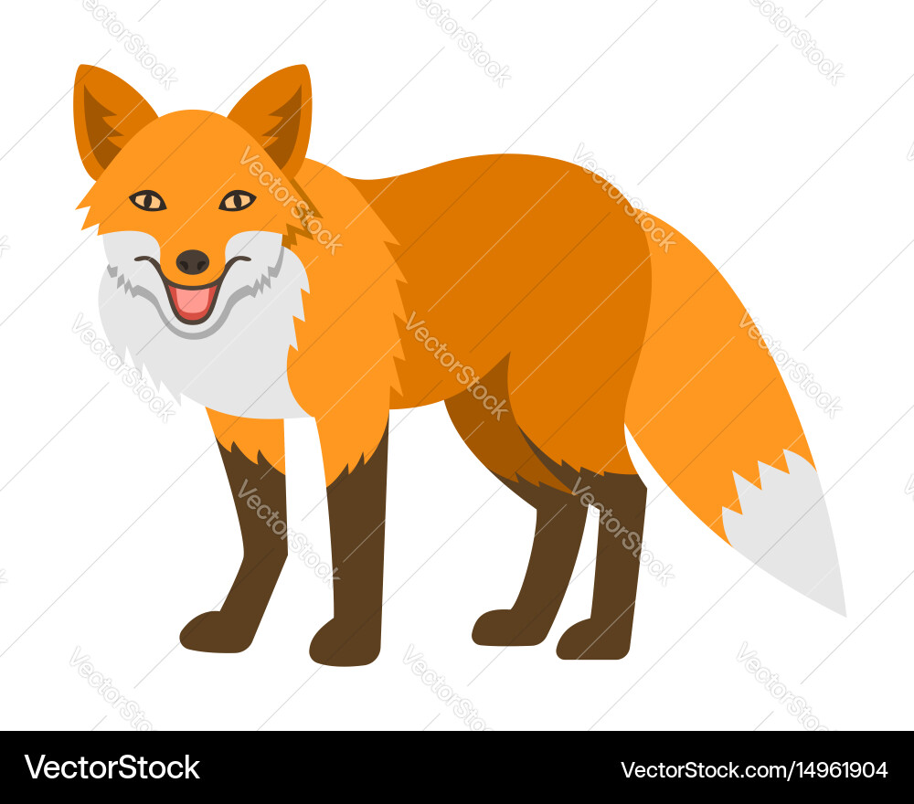 Cute smiling red fox cartoon Royalty Free Vector Image