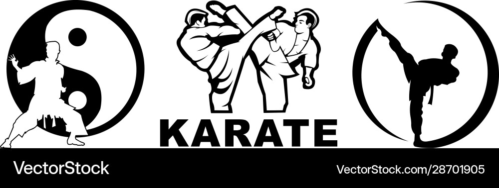 Martial arts karate Royalty Free Vector Image - VectorStock
