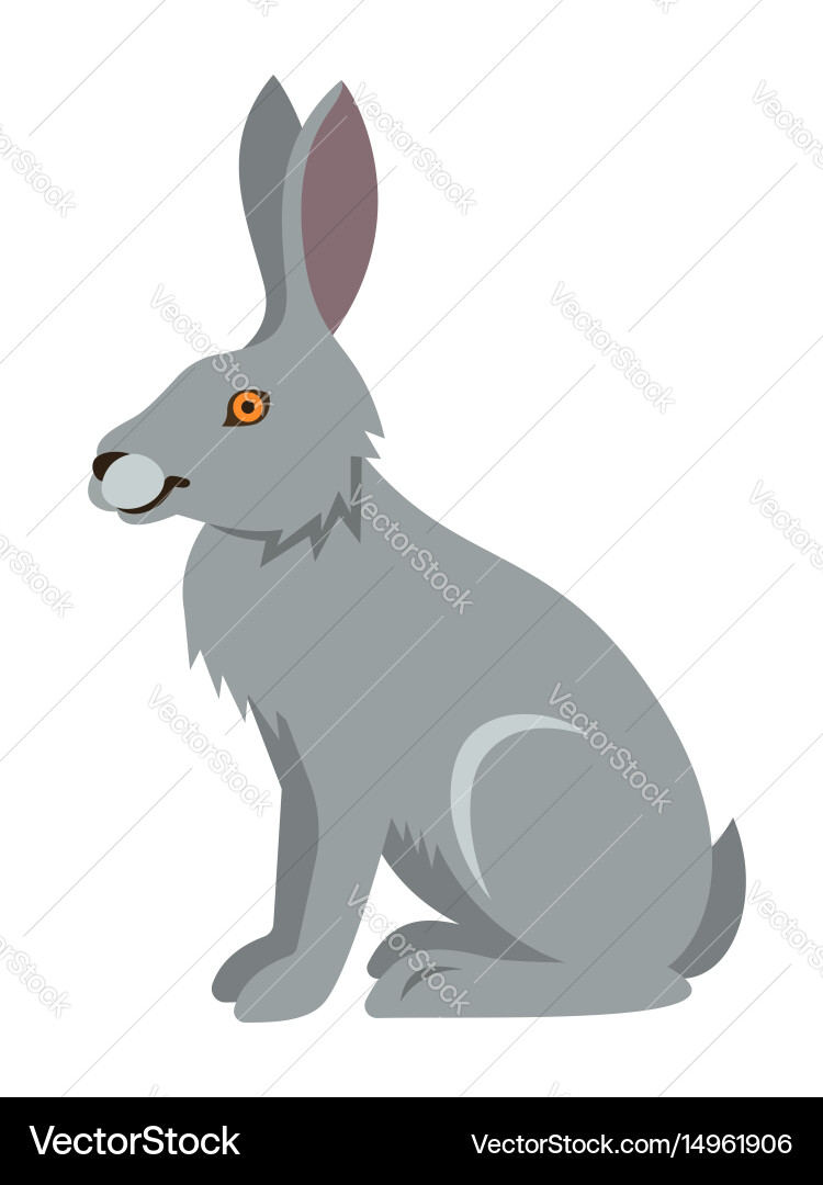 Cute smiling wild hare cartoon Royalty Free Vector Image