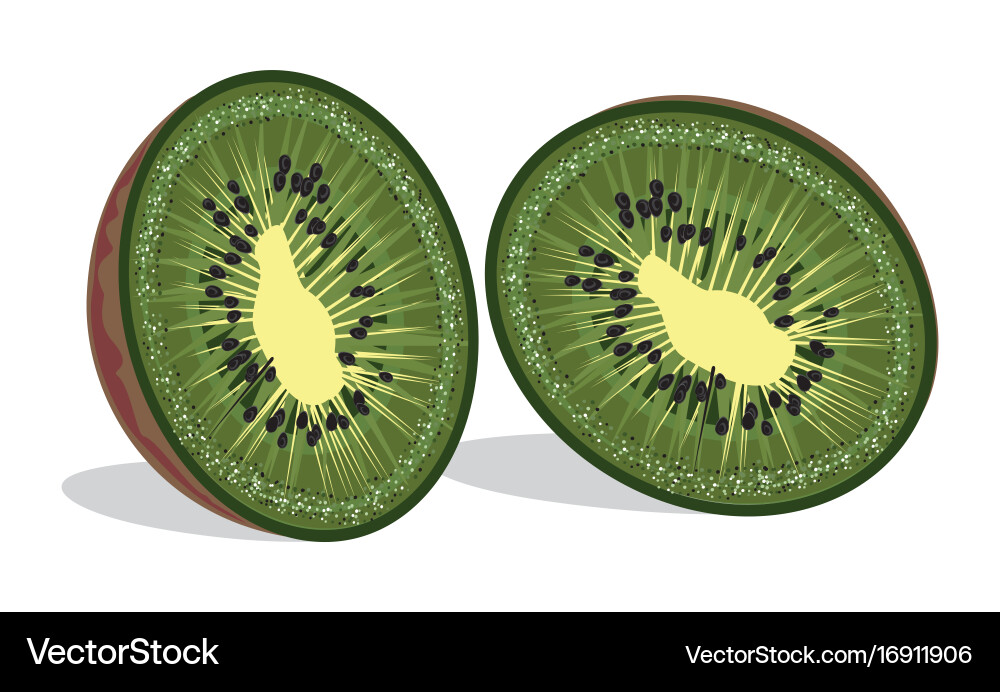 Kiwi Royalty Free Vector Image - VectorStock