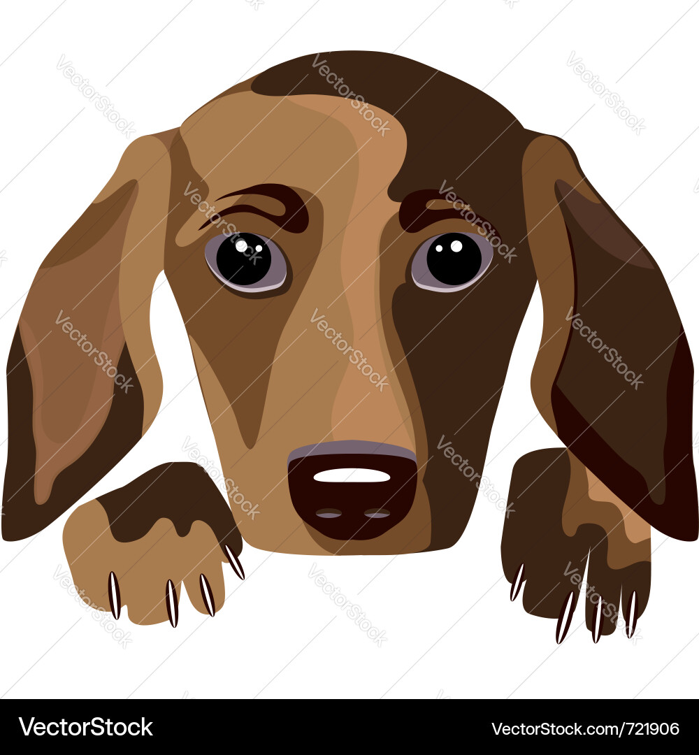 Portrait of a dog Royalty Free Vector Image - VectorStock