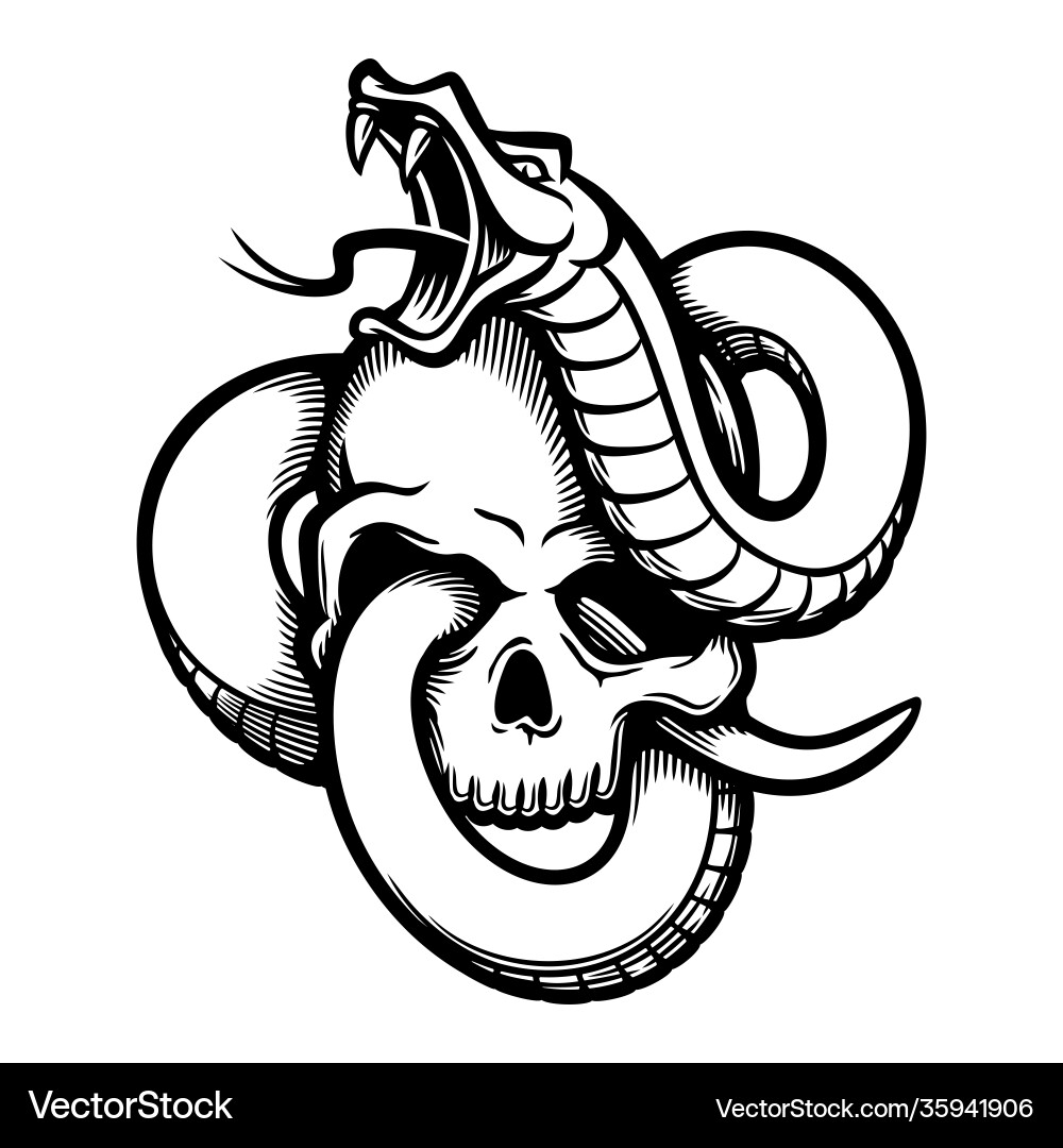 Snake Royalty Free Vector Image - VectorStock