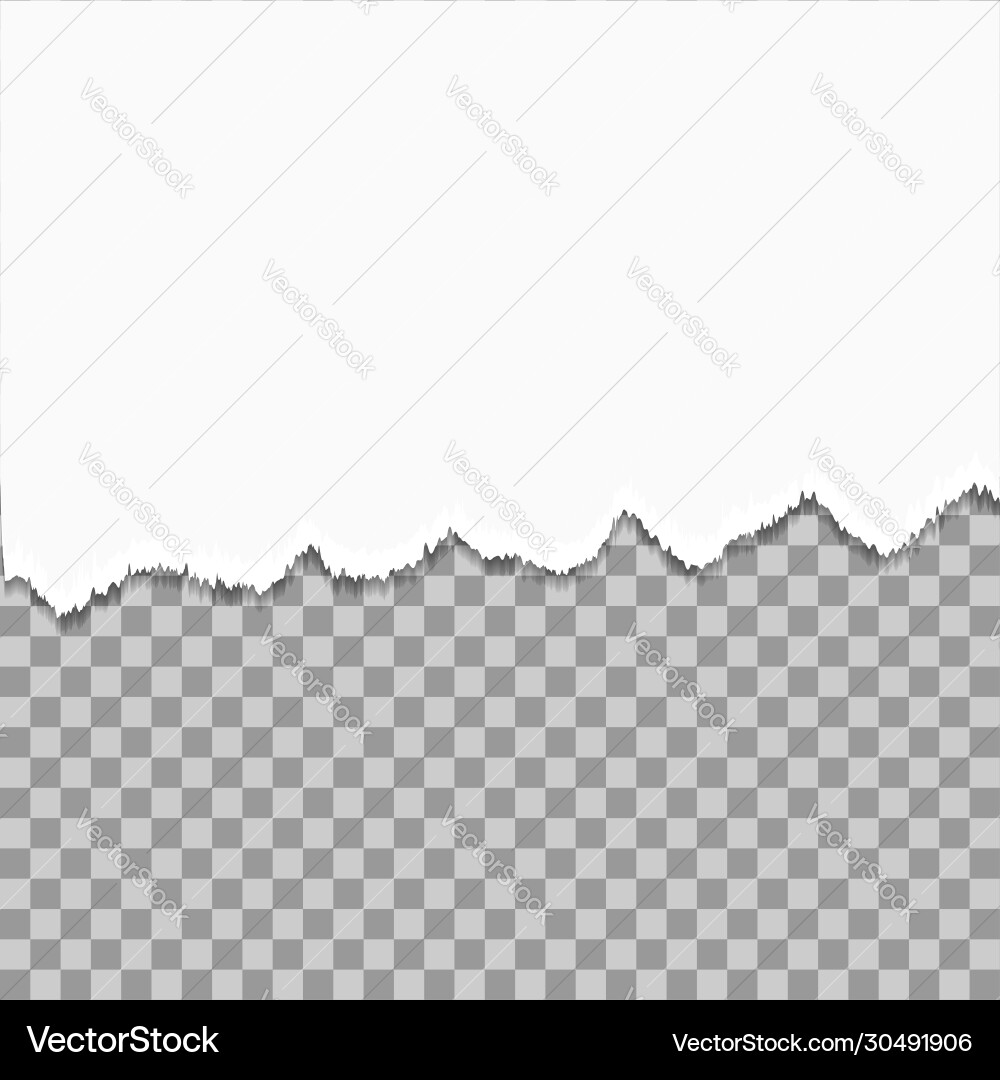 Torn a half sheet white paper from bottom Vector Image