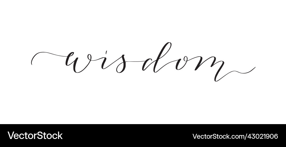 Word wisdom written in cute modern calligraphy Vector Image