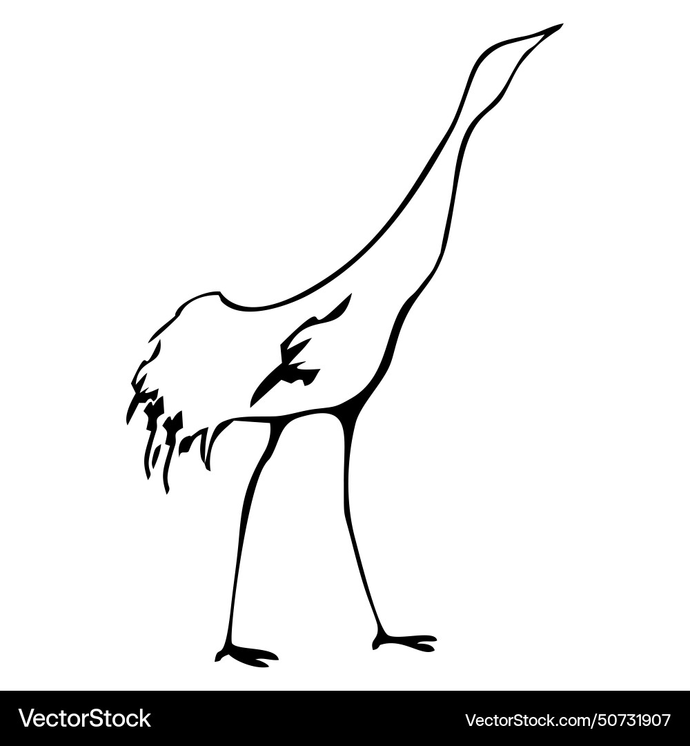 Bird stork Royalty Free Vector Image - VectorStock