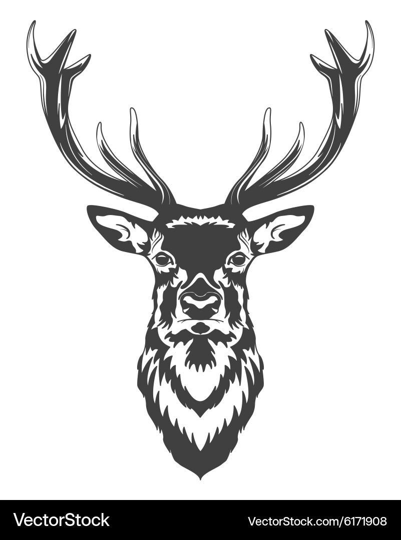 Deer head Royalty Free Vector Image - VectorStock