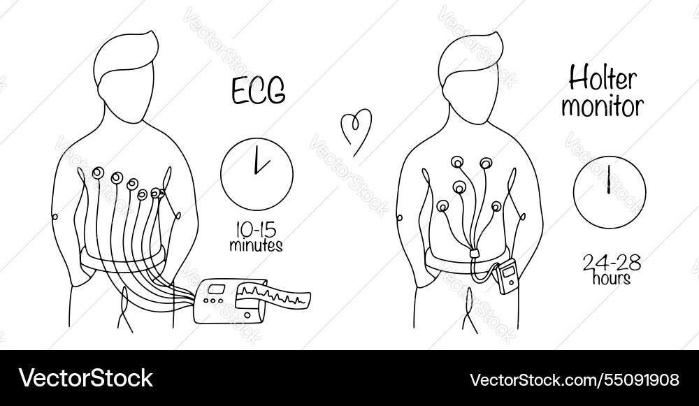 Ecg and holter monitor Royalty Free Vector Image
