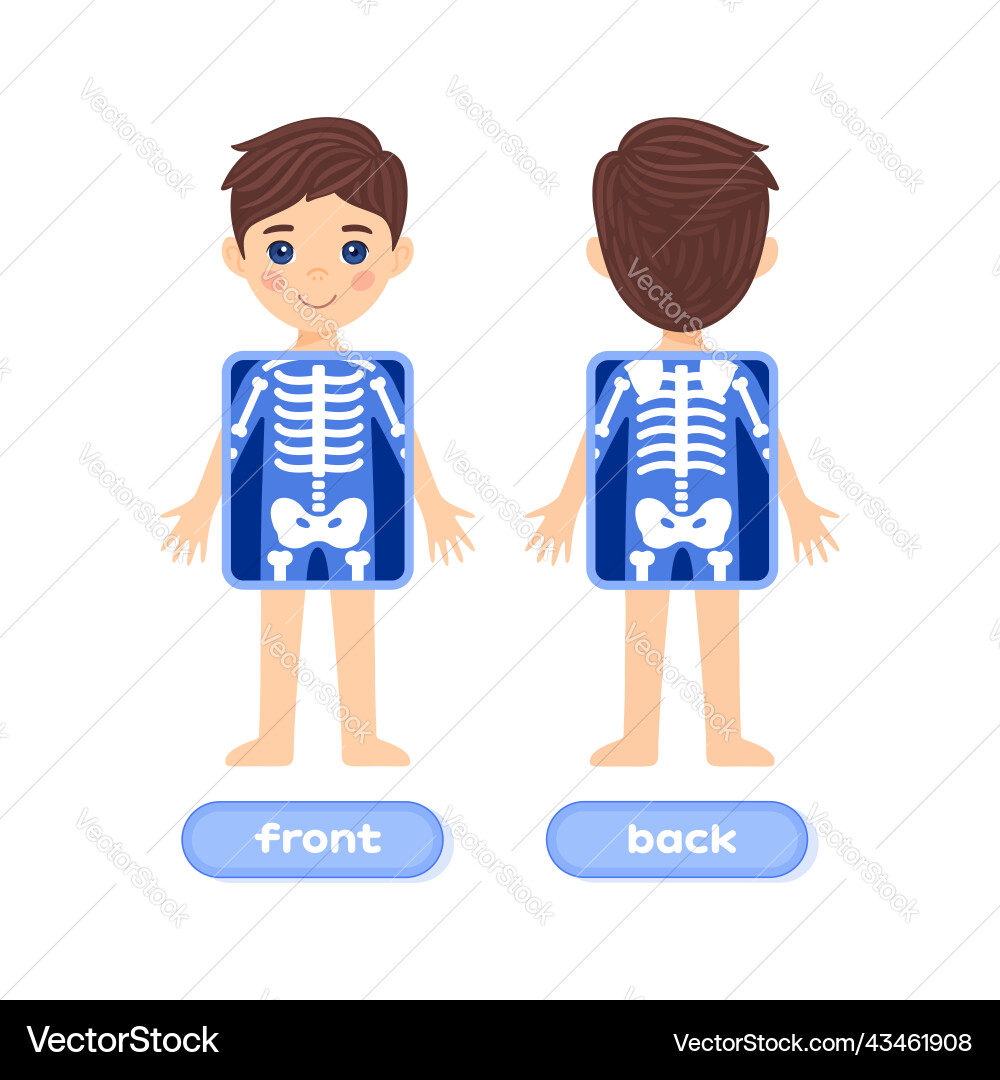 Clipart X Ray X Ray Clipart Etsy UK