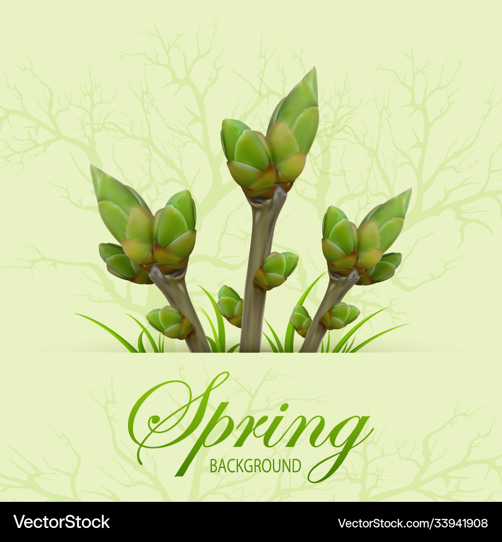 Three spring twigs Royalty Free Vector Image - VectorStock