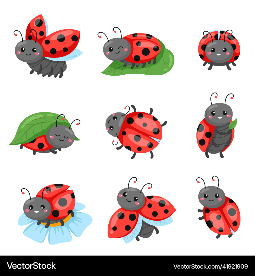 Cartoon ladybug funny cute red beetle Royalty Free Vector
